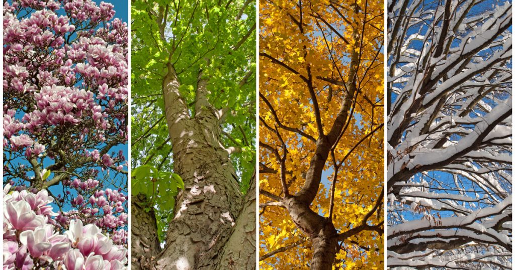 4-seasons - Gutter Helmet of Milwaukee
